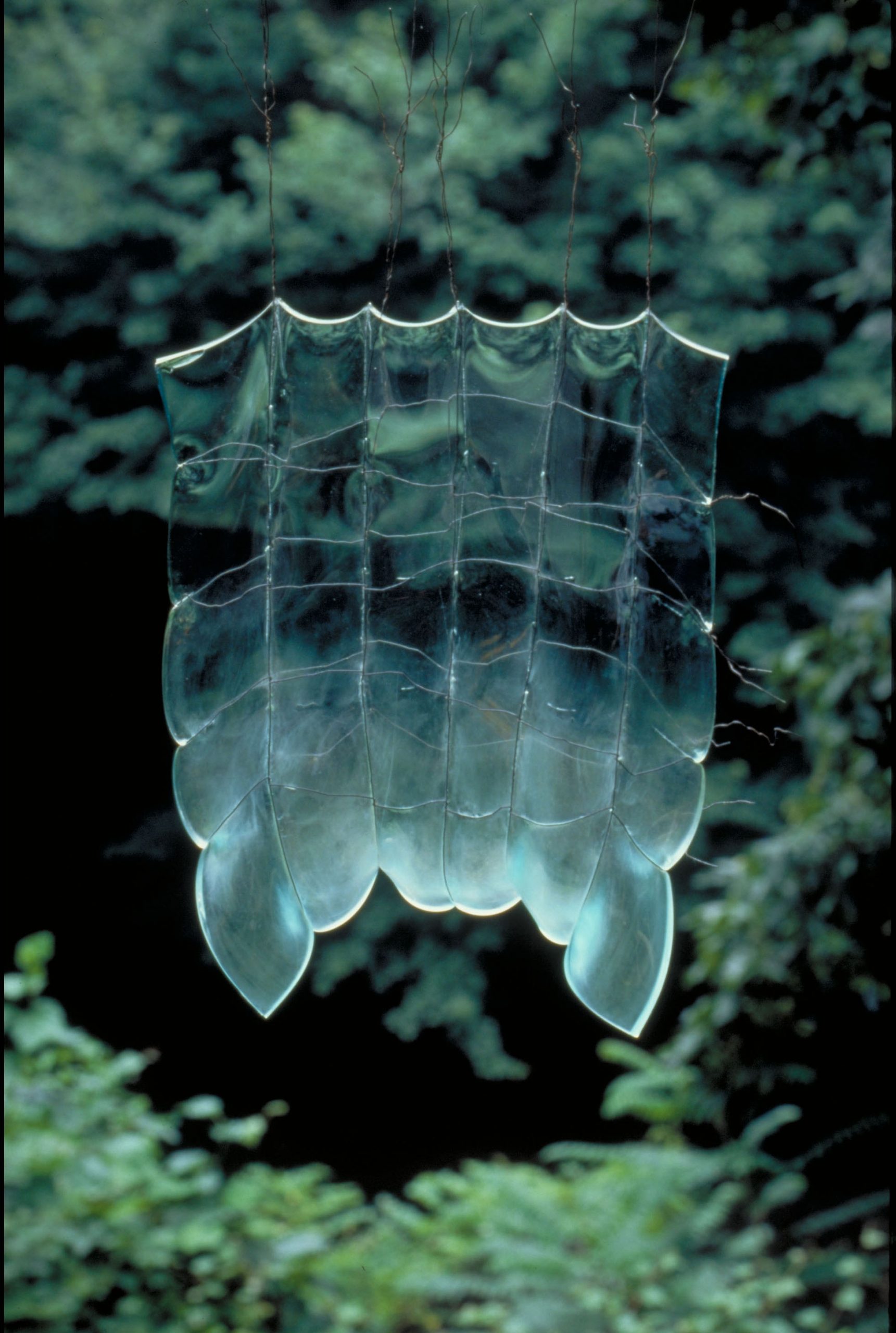 Hanging Series – Mary Shaffer